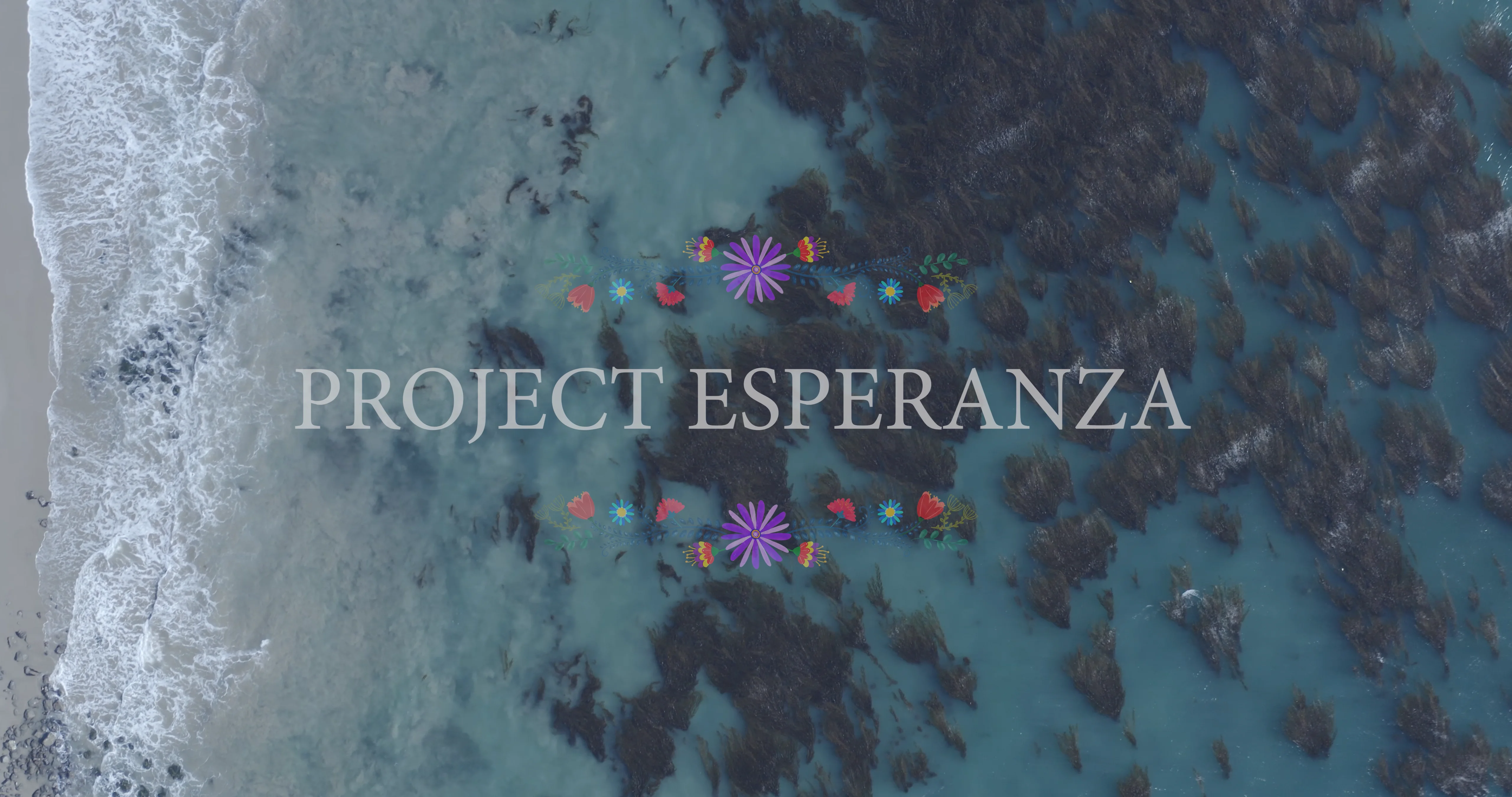 Project Esperanza