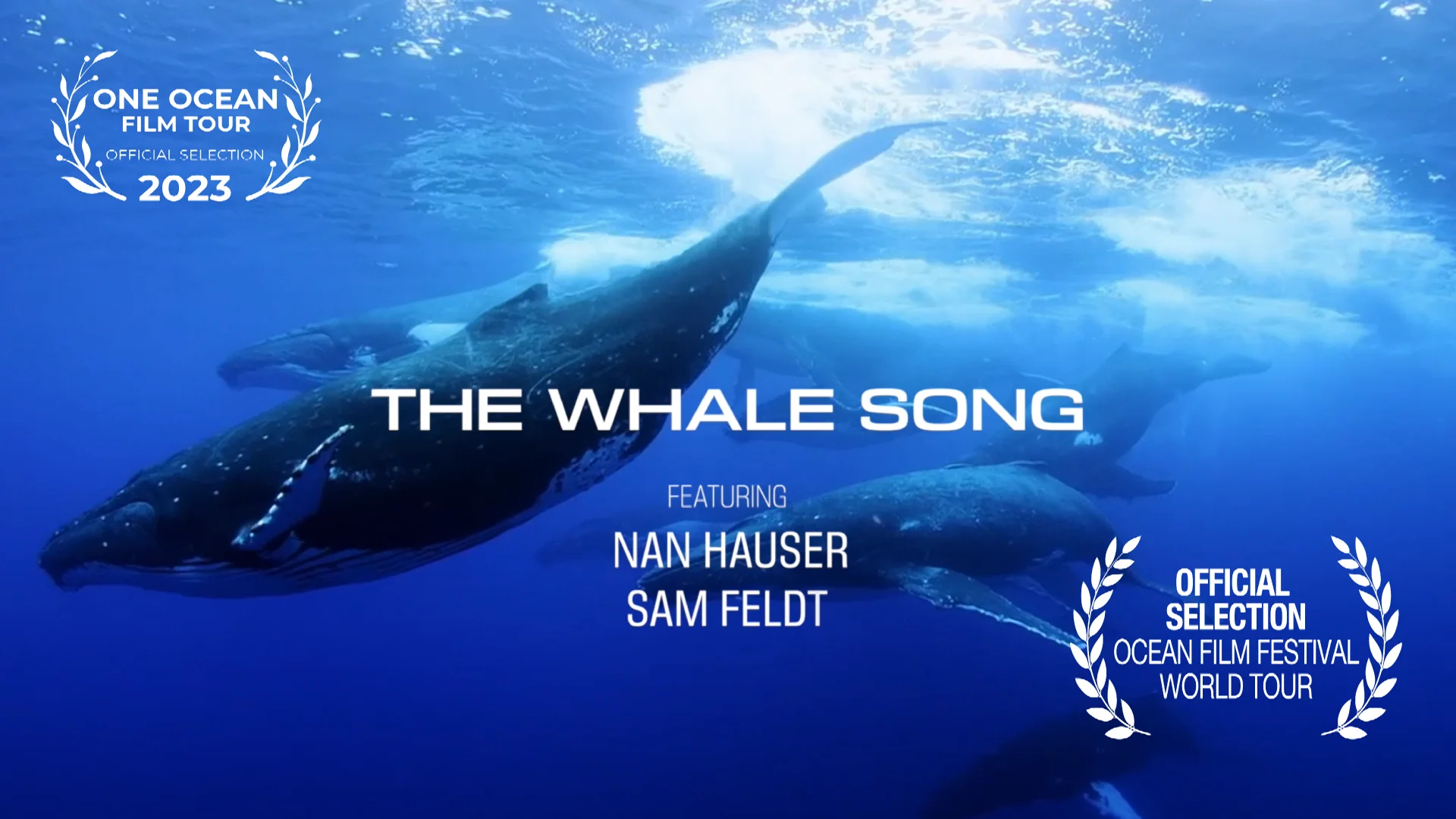 The Whale Song - Trailer