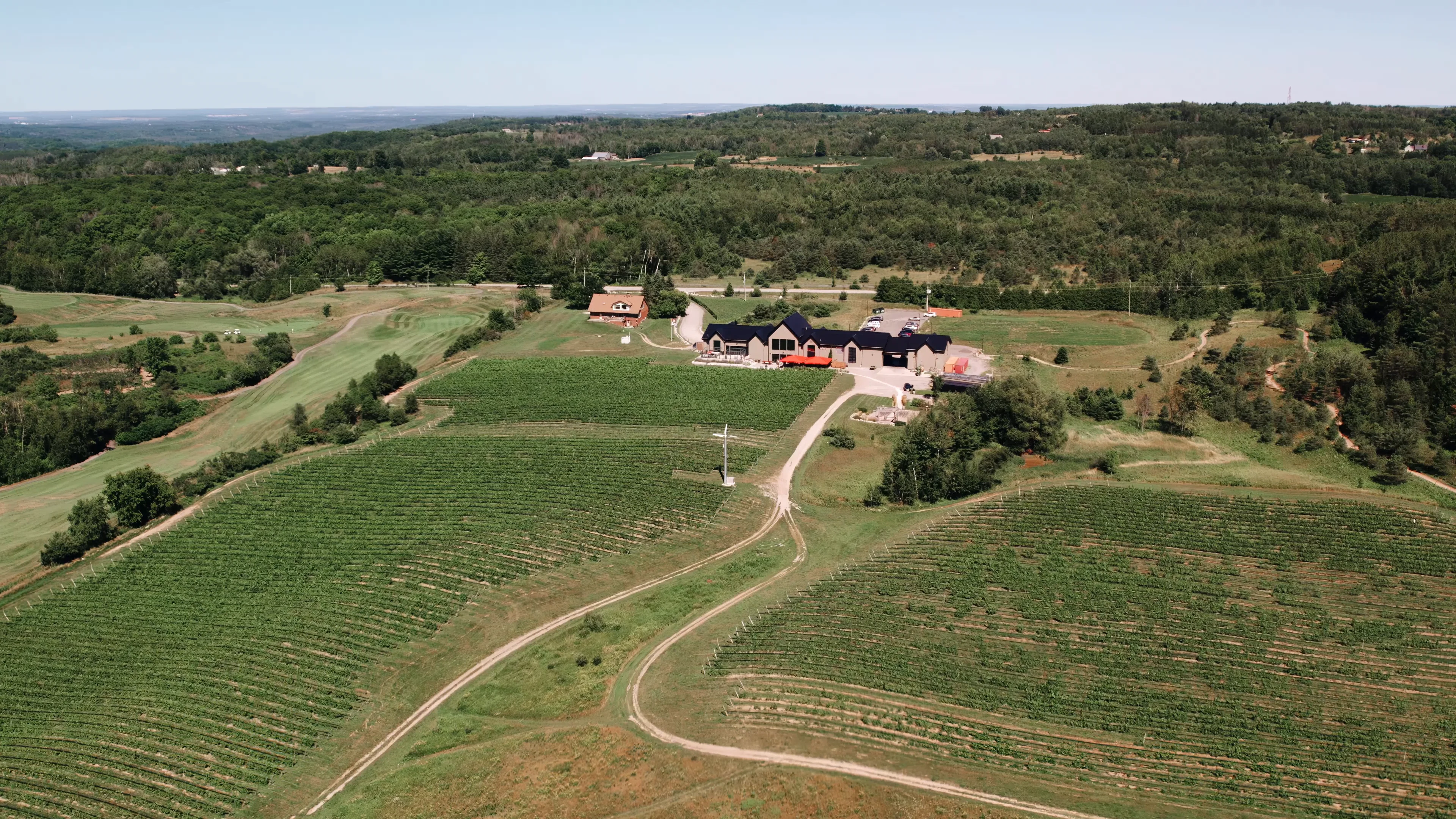 Emma & Dan | Adamo Estate Winery, Orangeville, Ontario on Vimeo