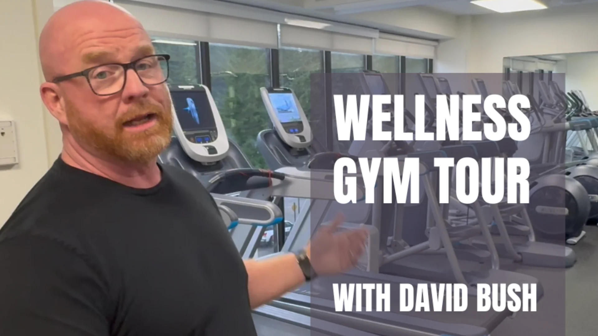 Dave Bush Wellness Gym Tour
