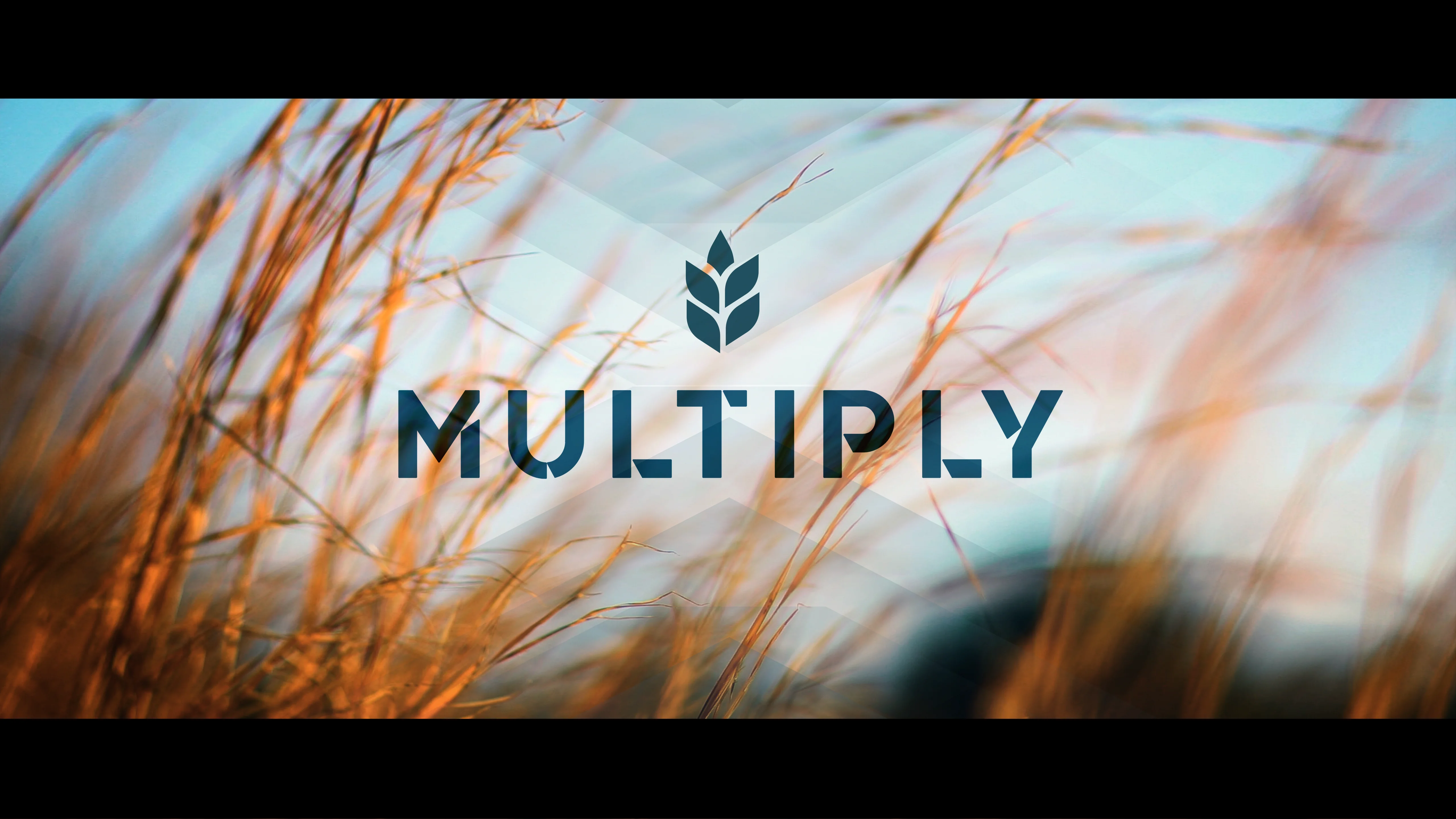 Multiply Commitment Card on Vimeo