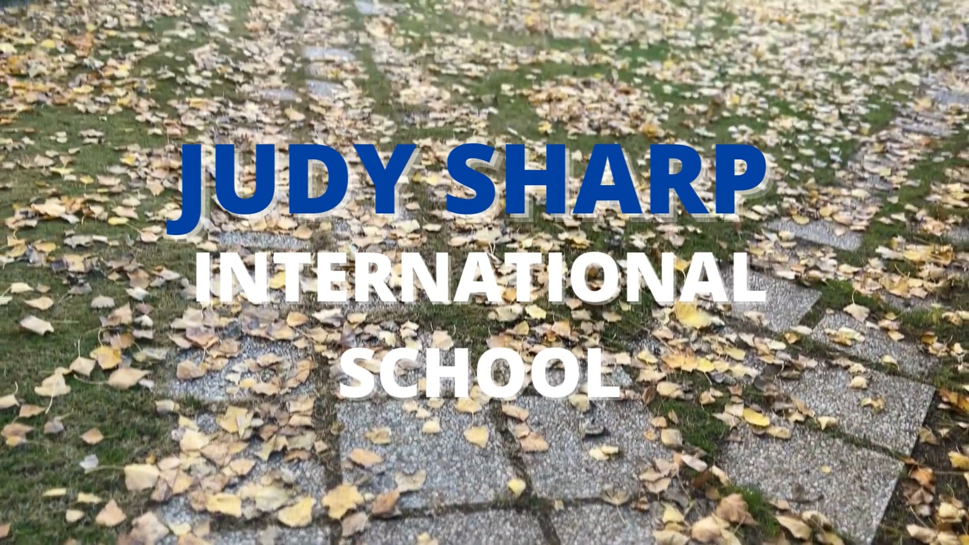 Inclusive International School in Madrid | Judy Sharp