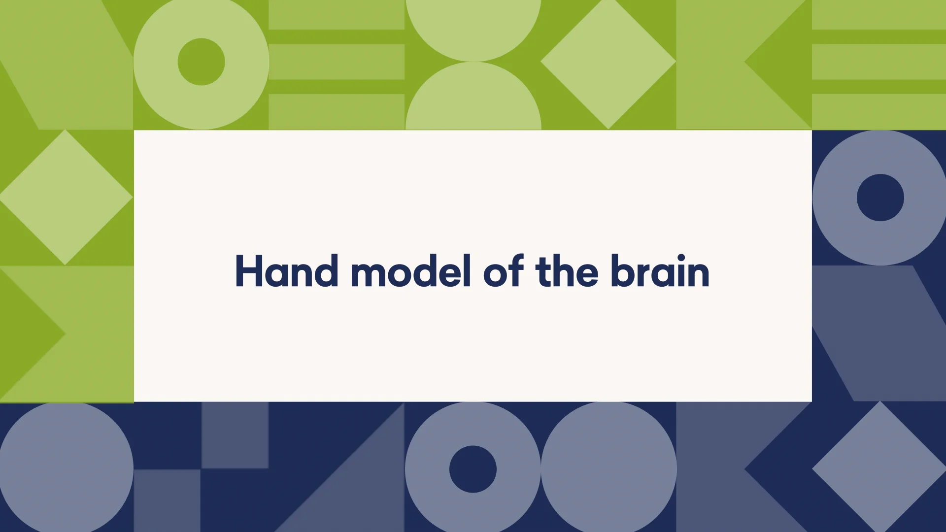 Hand Model of the Brain - Student Wellbeing Hub