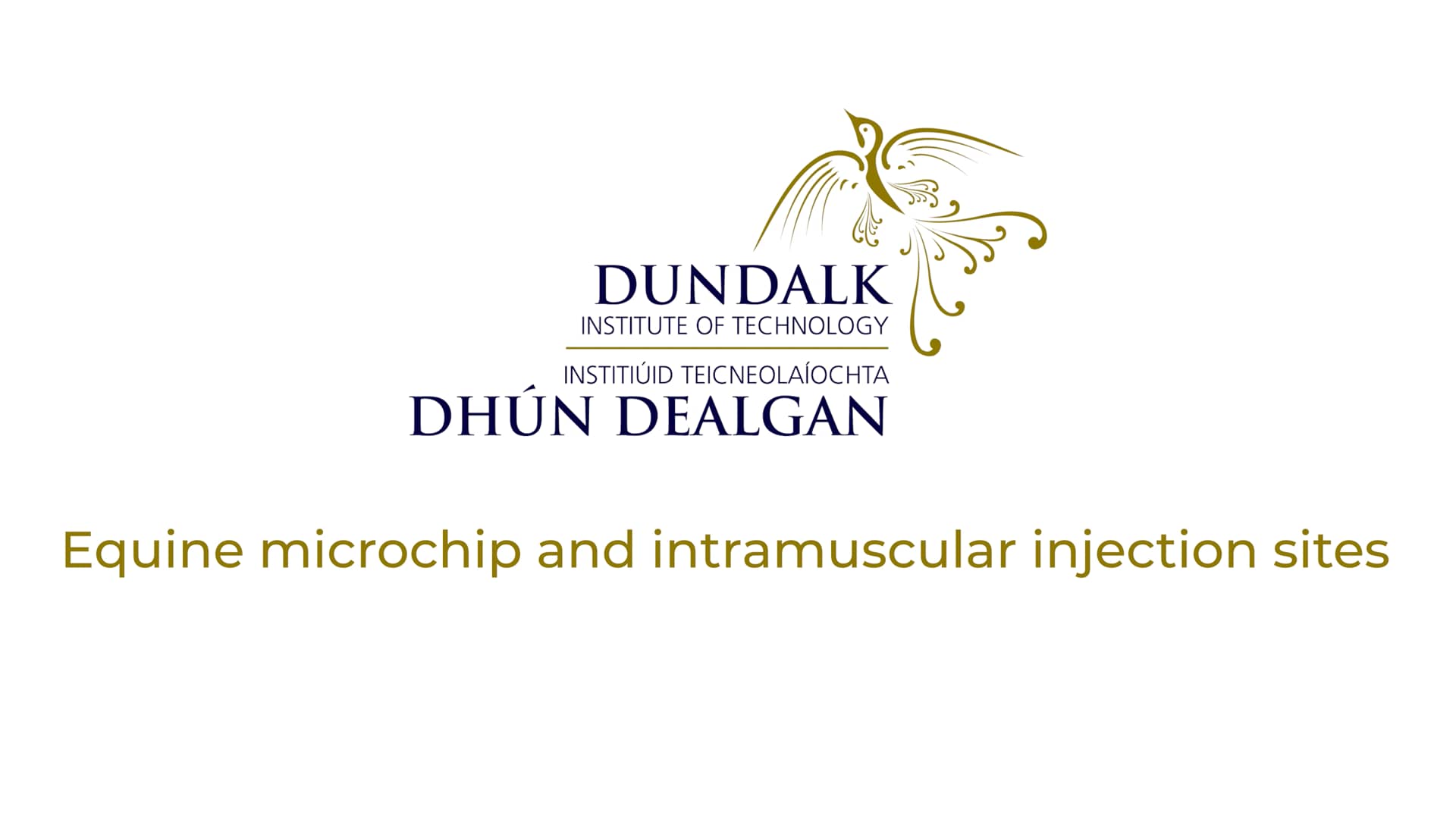 Equine microchip and intramuscular injection sites on Vimeo