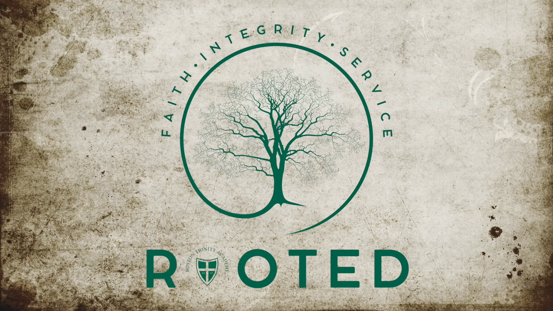 Sayda Casteñeda Reflection on Vimeo