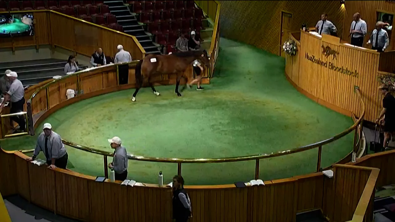 Karaka 2024: Book 2, Day 2 Lots 841 - 849 on Vimeo