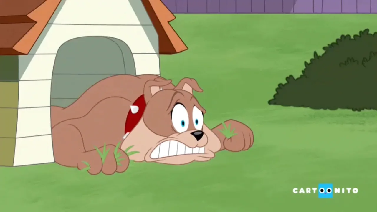 Tom and jerry Spike Raio X TV TEM Sorocaba