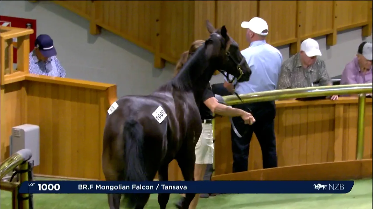 Karaka 2024: Book 2, Day 3 Lots 1000 - 1010 on Vimeo