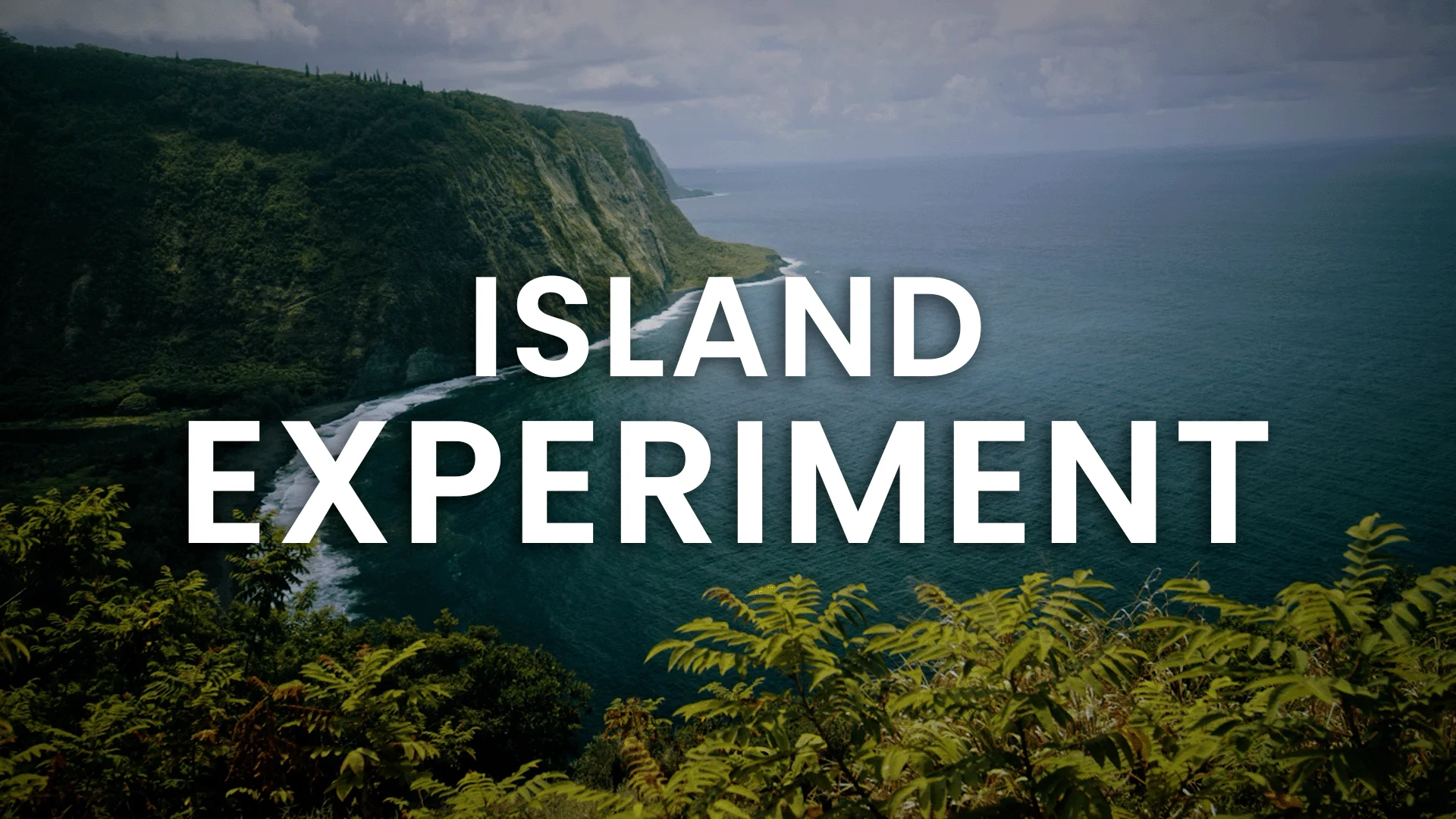 The Island Experiment