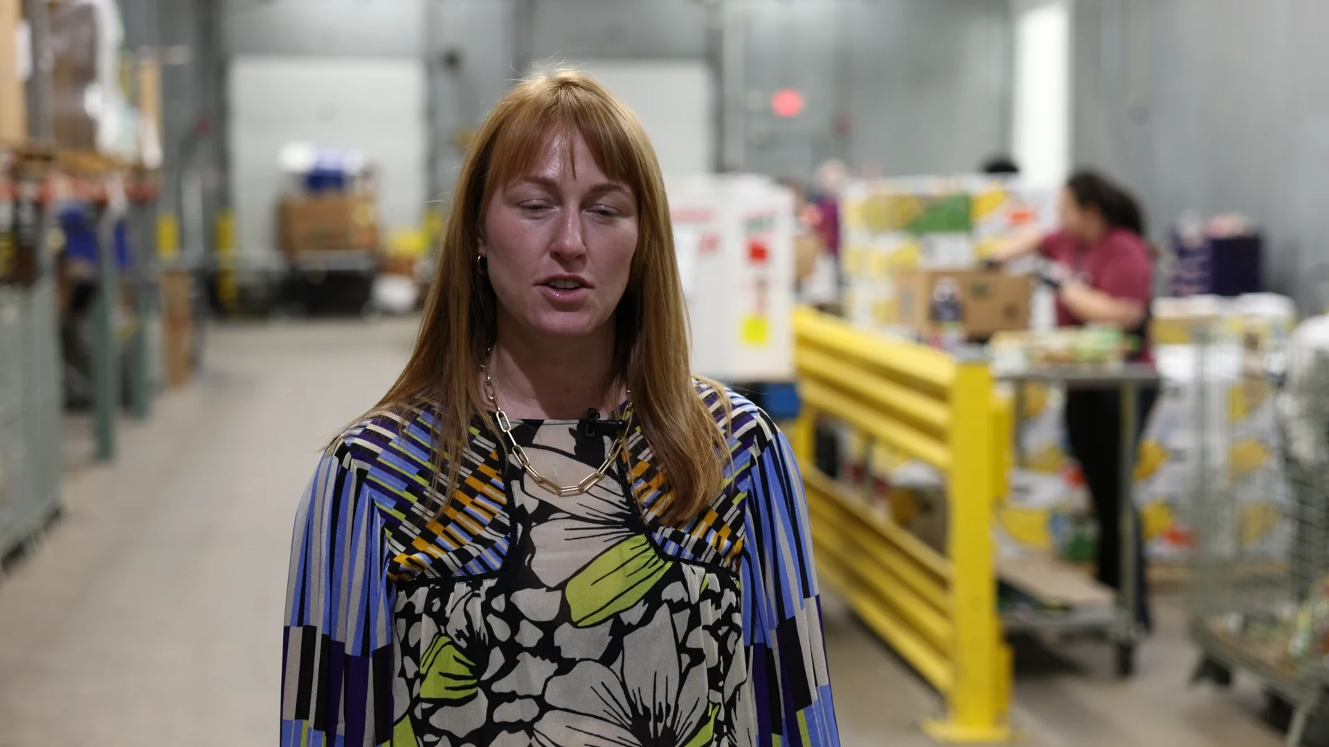 Monique Ellsworth on Vimeo