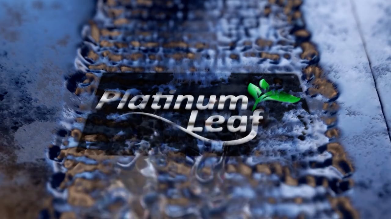 Platinum Leaf