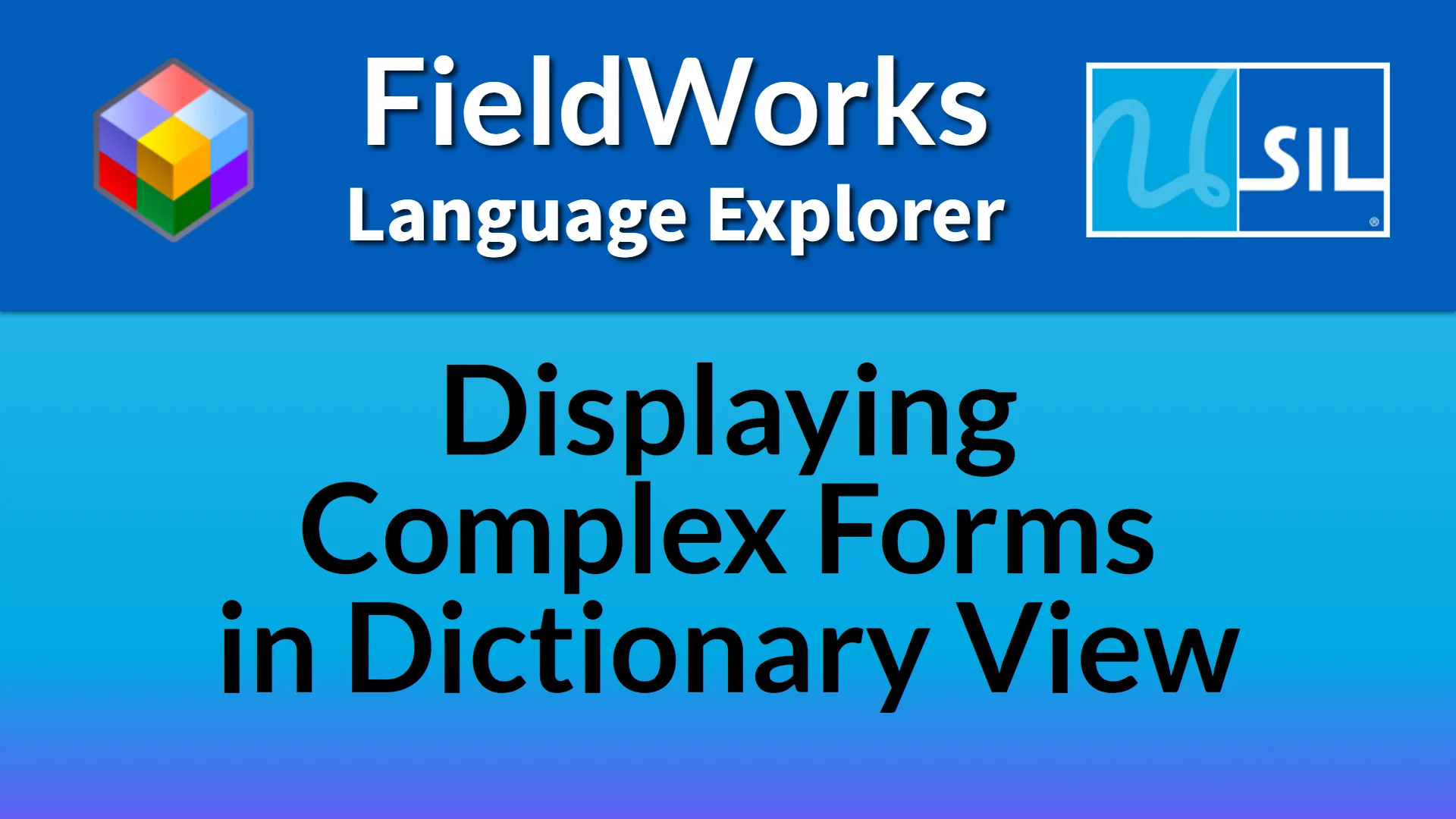 26 - Displaying complex forms in Dictionary view