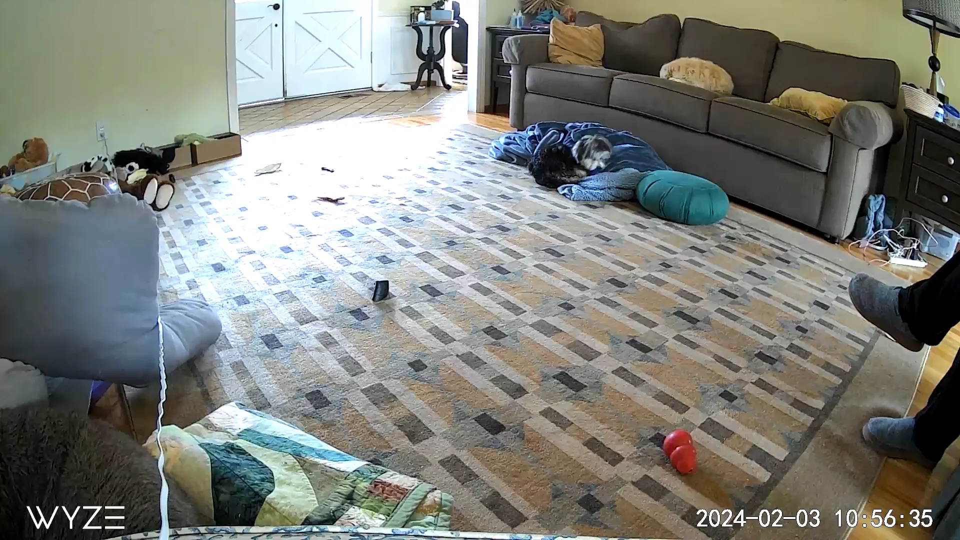 2/6/24 SA 30ish seconds