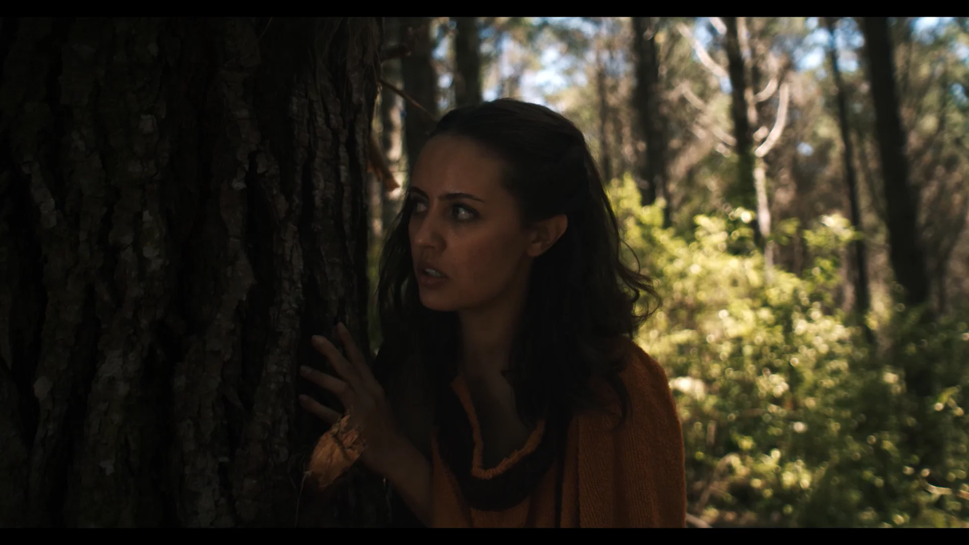 Zanlé Louw - Stunt Reel on Vimeo