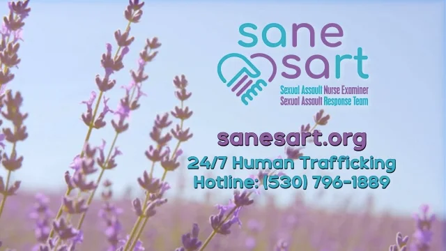 Napa Solano SANE-SART v1 on Vimeo