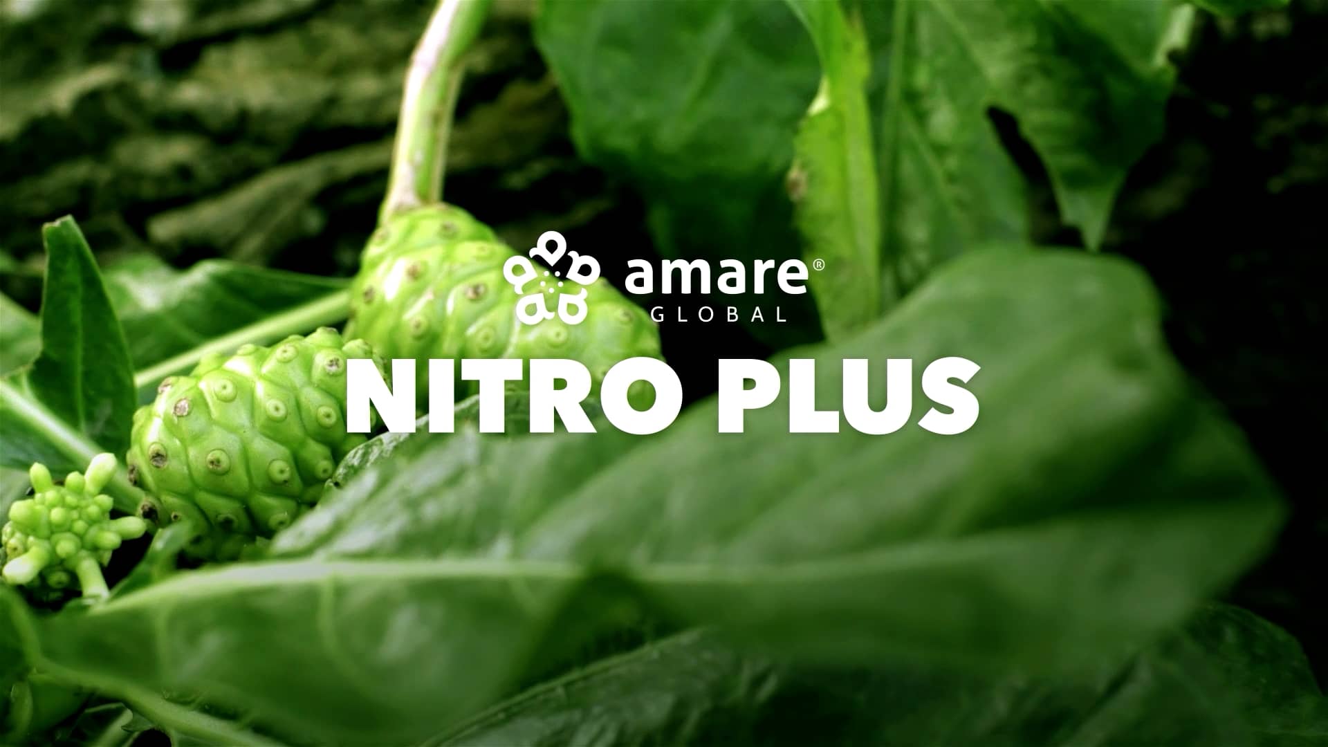 Amare Global Nitro Plus on Vimeo