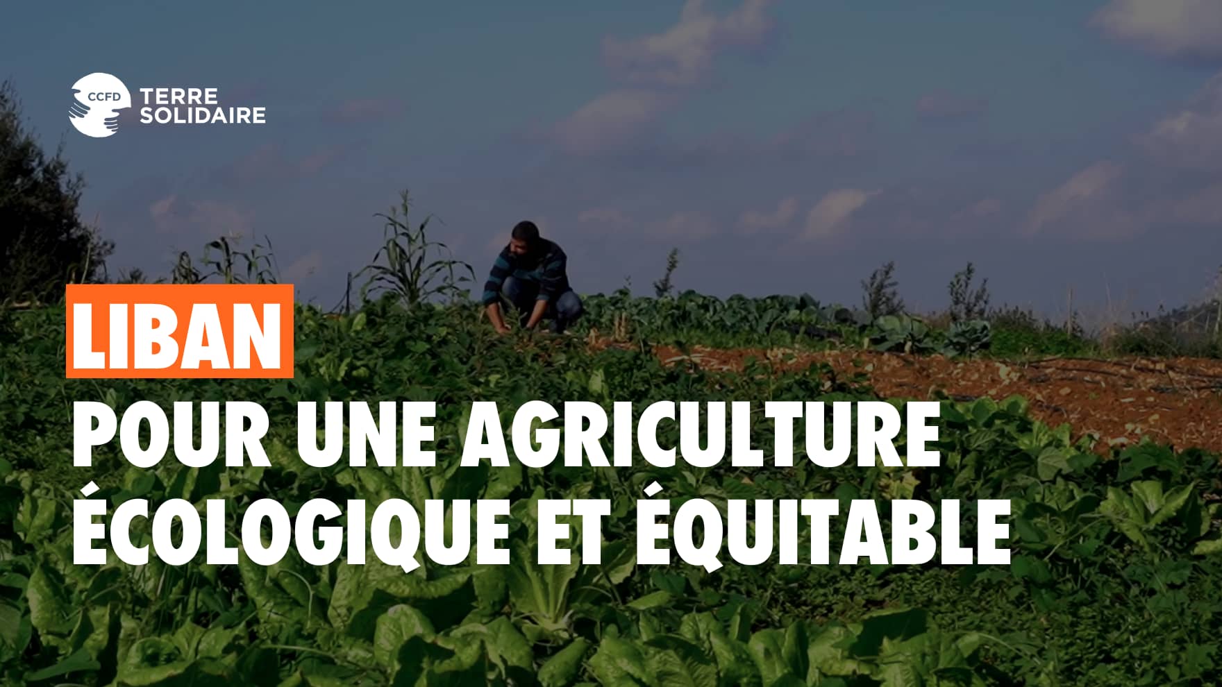 Liban : promouvoir une agriculture écologique et équitable on Vimeo