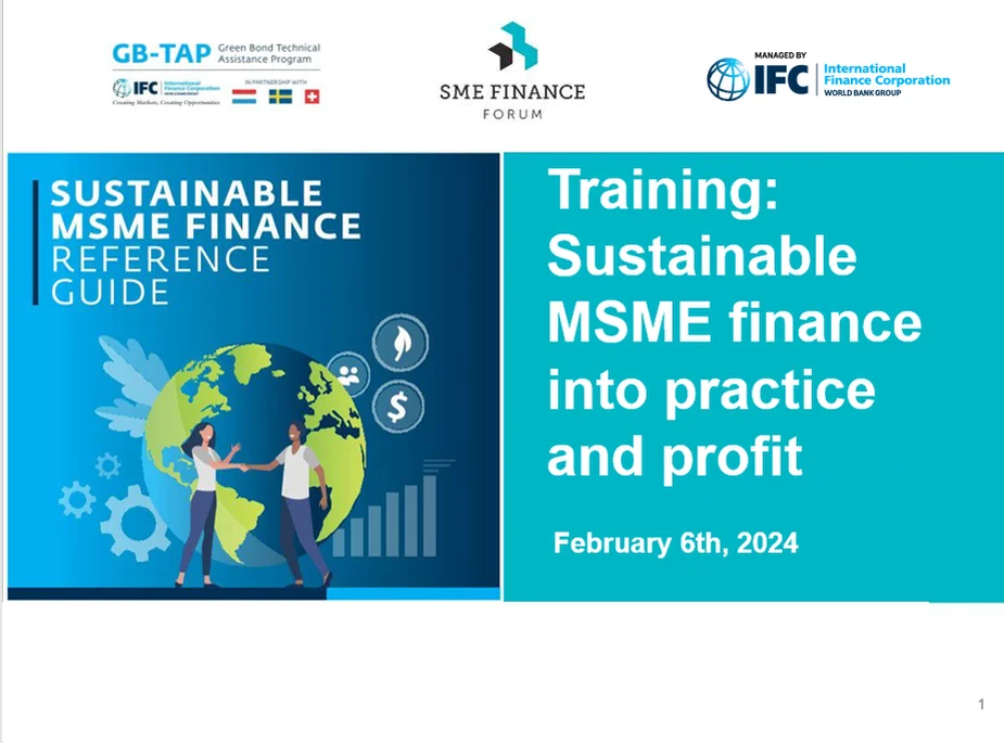 Training: Sustainable MSME finance into practice and profit. February ...