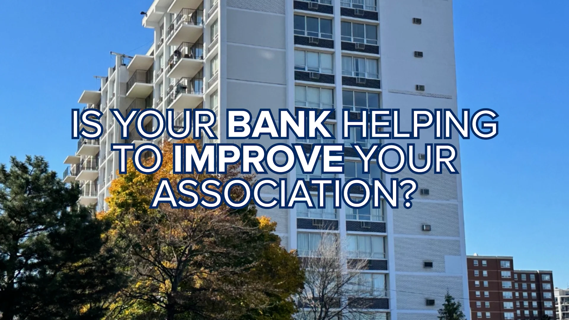 CAI Loop 2024 (1) on Vimeo