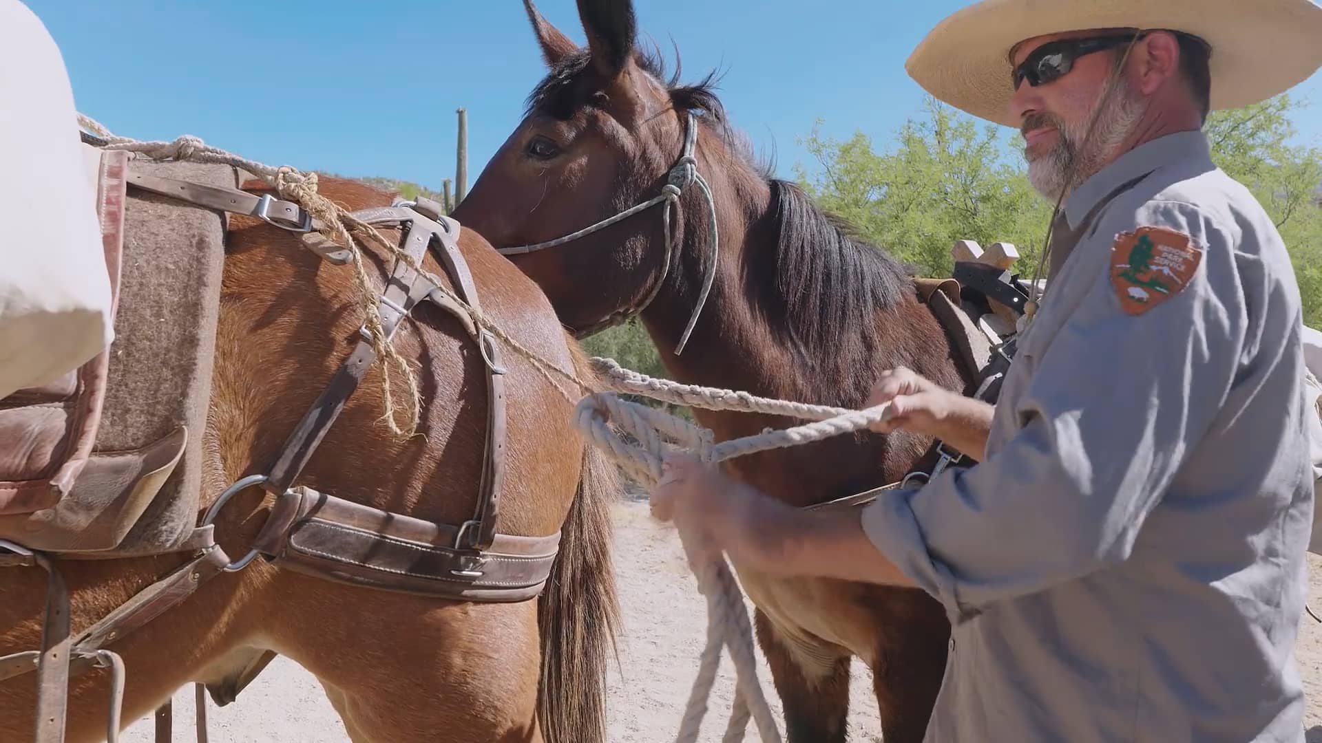 Mule Packing at Saguaro National Park on Vimeo
