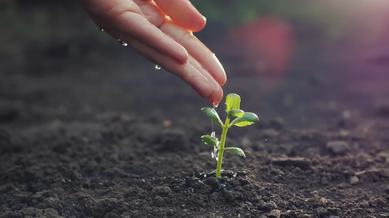 UDP Agri - Fertilizer, Agriculture Fertilizer, Npk Fertilizer