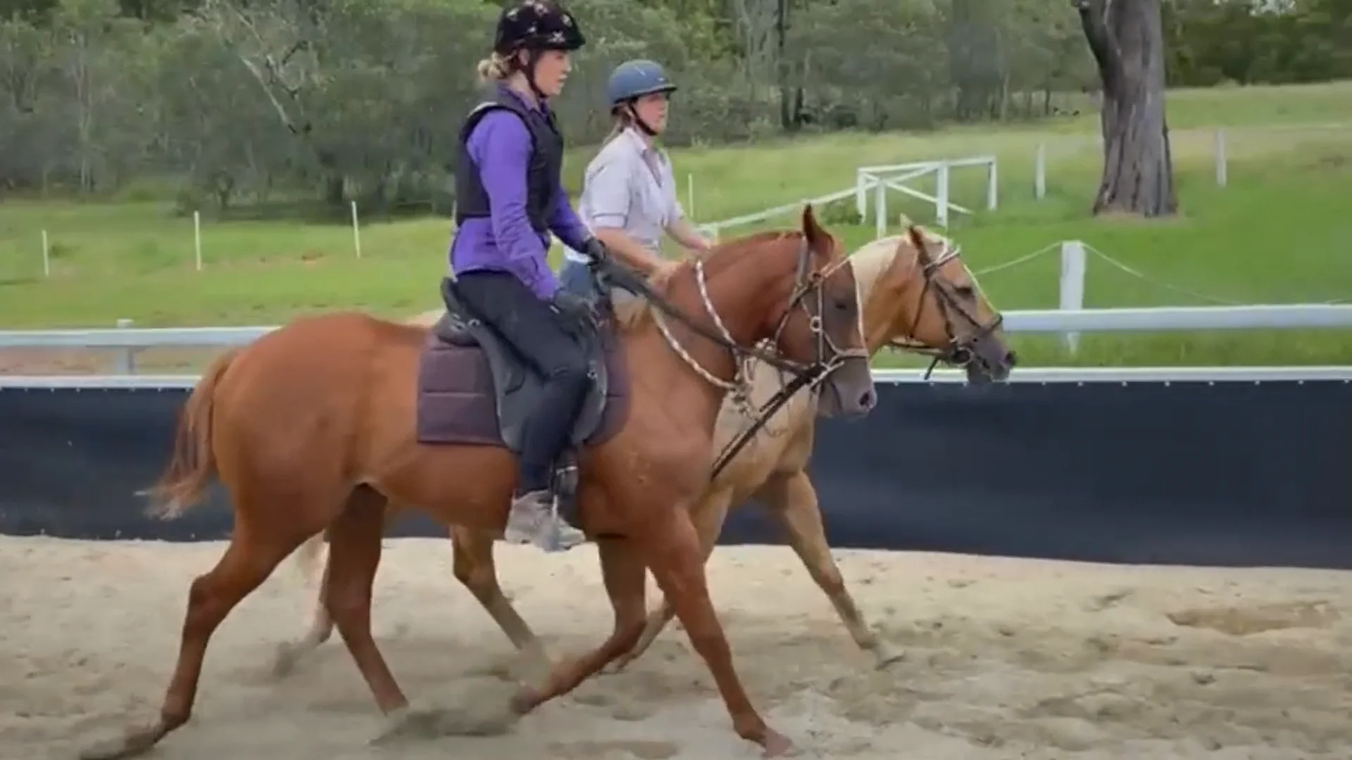 FLR's Doubtland filly - Breaking In Video - 9 February 2024 on Vimeo