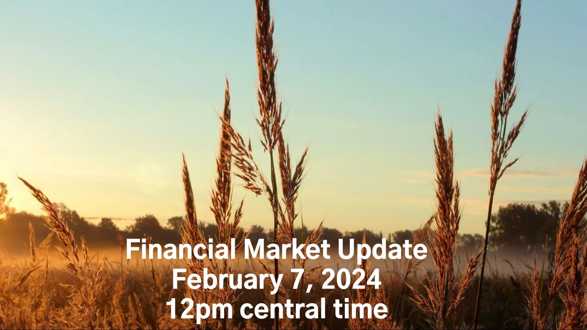 Financial Market Update with Chris Shuba with Helios