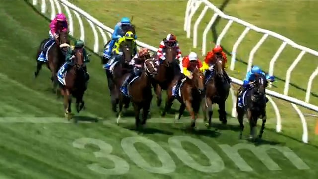 I Am Invincible - Stallion | Breednet