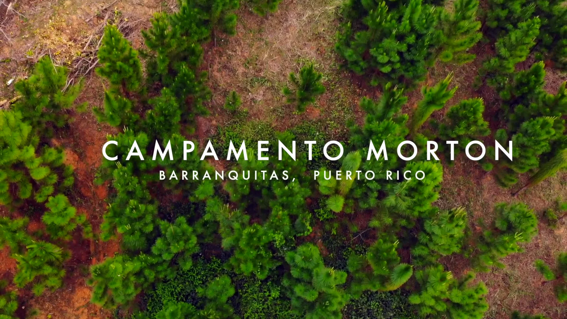 50 años del Campamento Morton