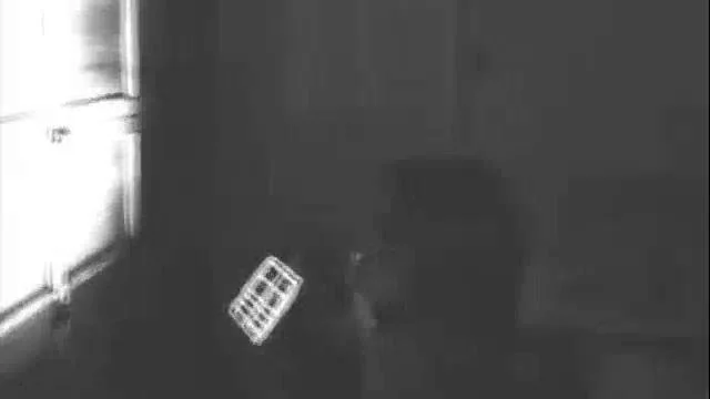 Robert Groh Paints on Bluepole Apparatus on Vimeo