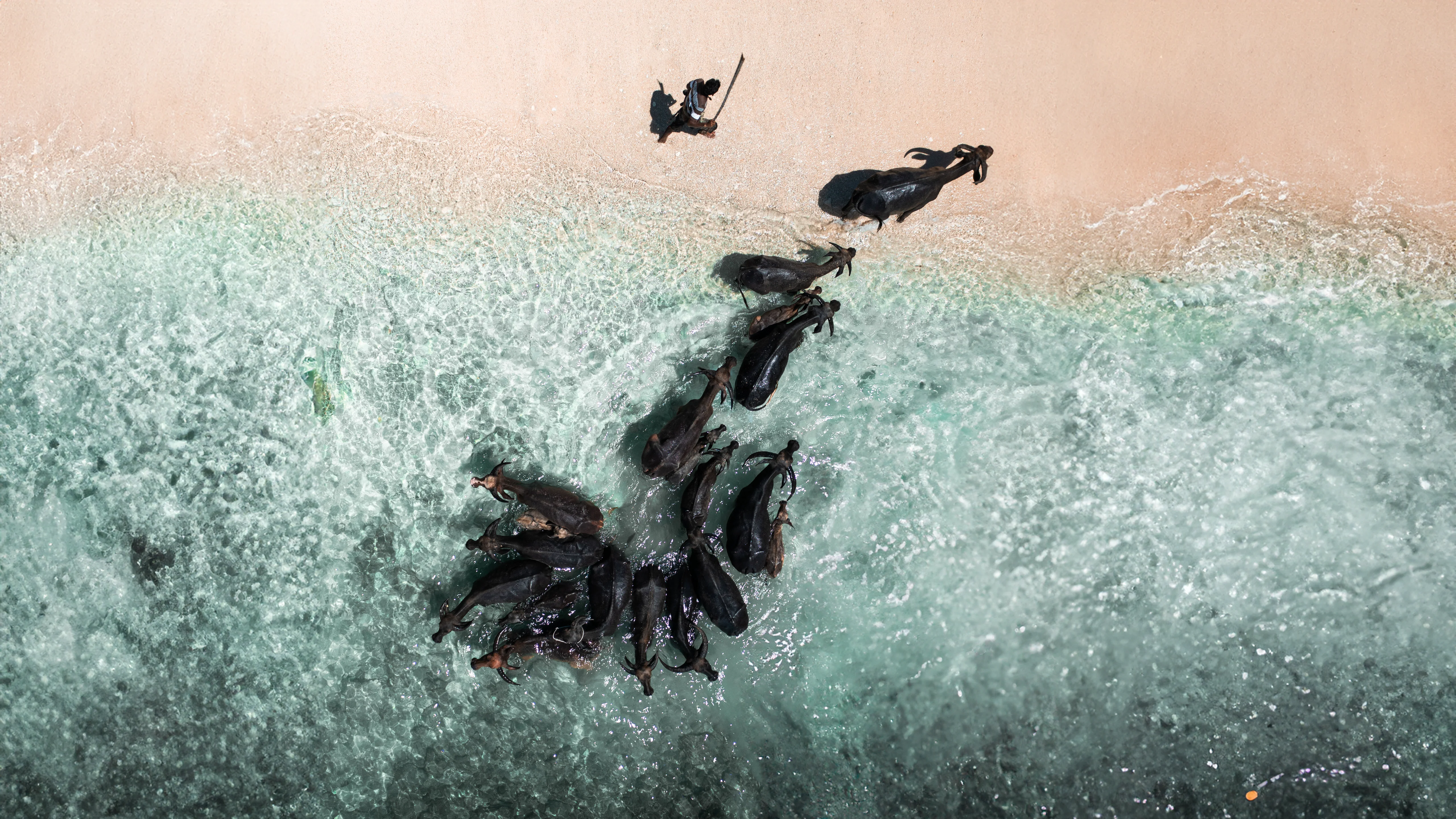 Alamaya Boutique Resort