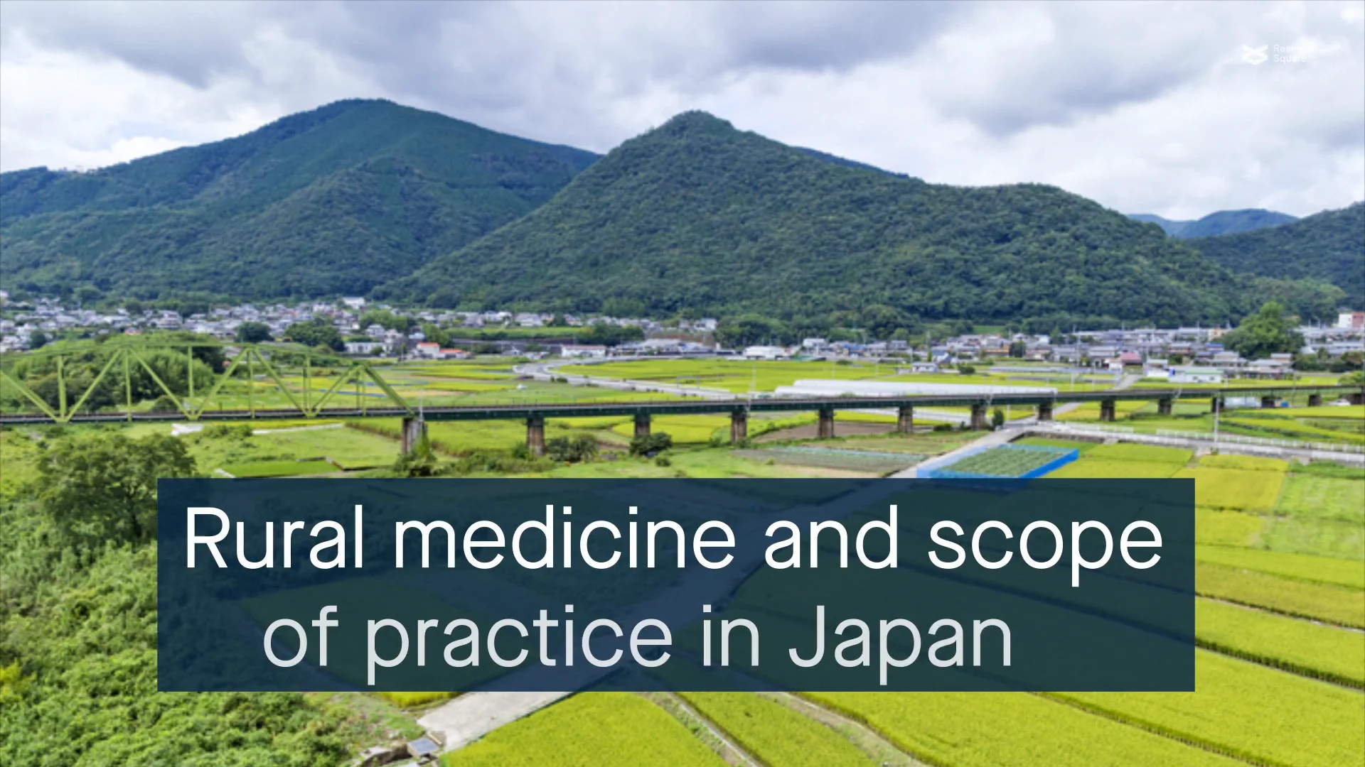 Primary care physicians working in rural areas of Japan provide a ...