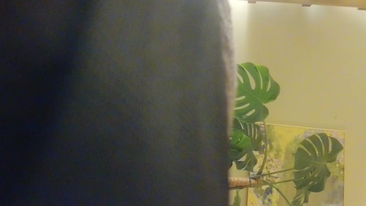 Vimeo Test Video on Vimeo