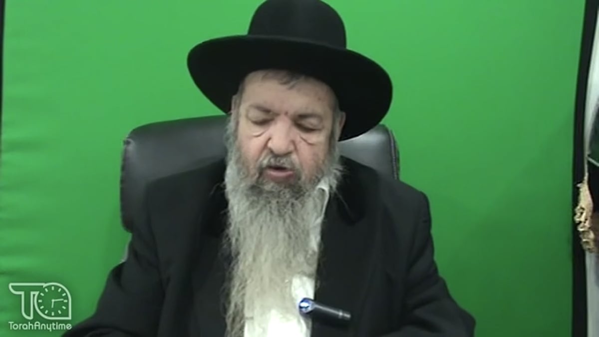 R' Moshe Meir Weiss | Chok l'Yisroel T'zaveh Day 3