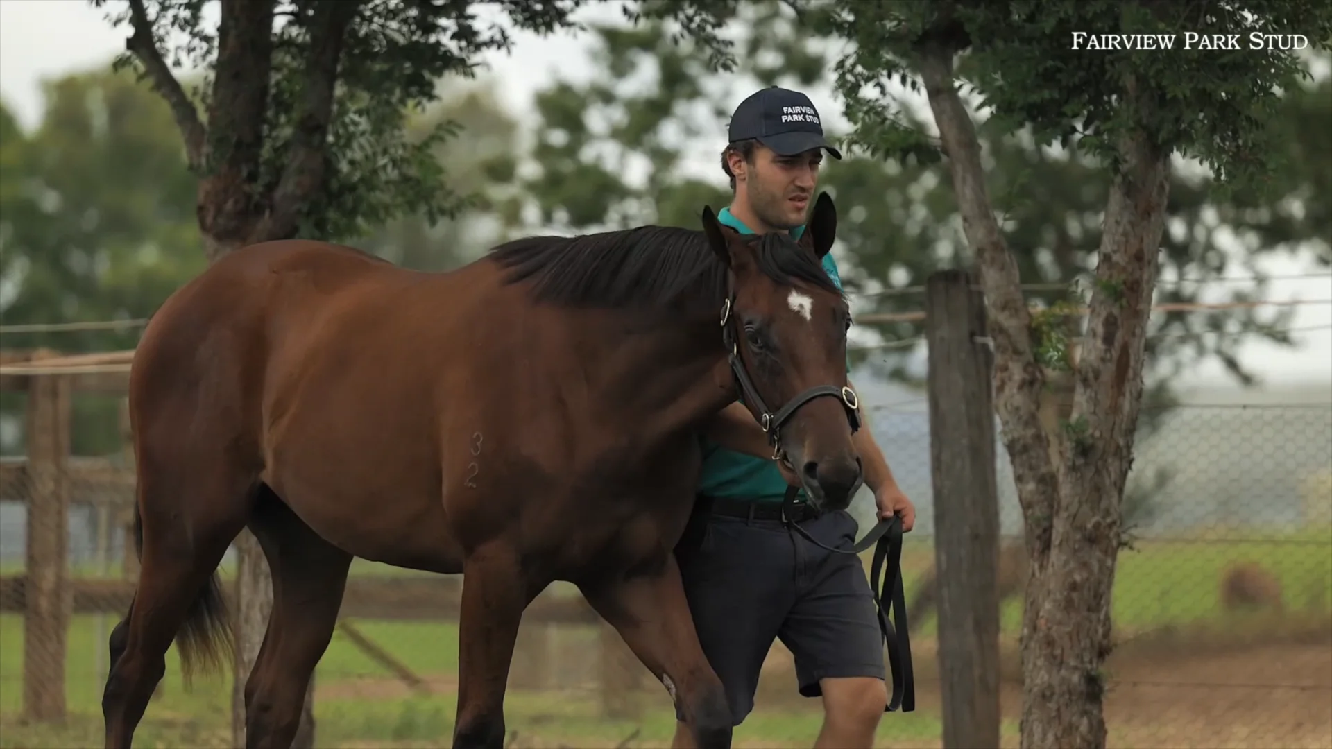 MATT SMITH RACING - LOT 791 on Vimeo