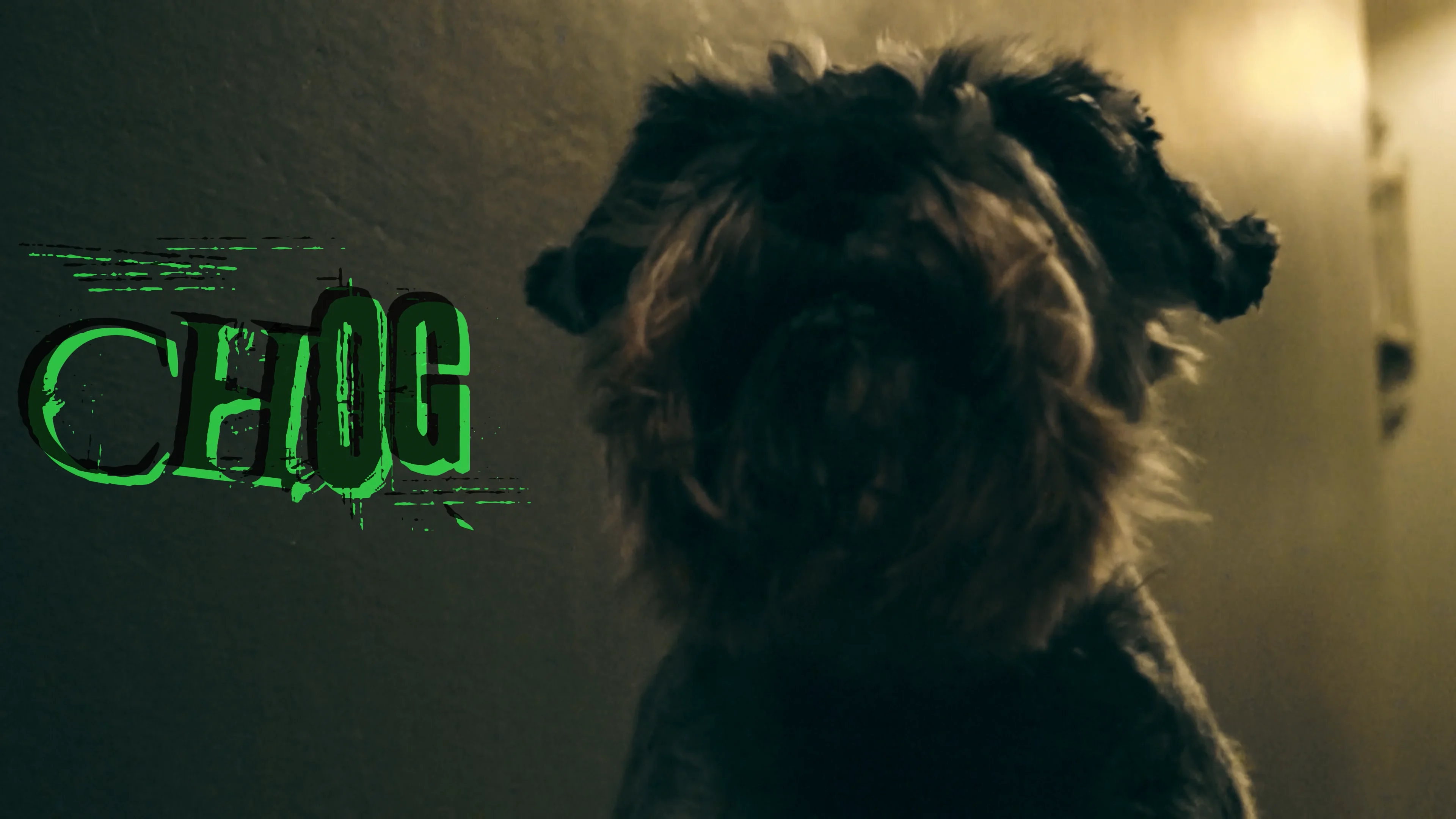 Chog