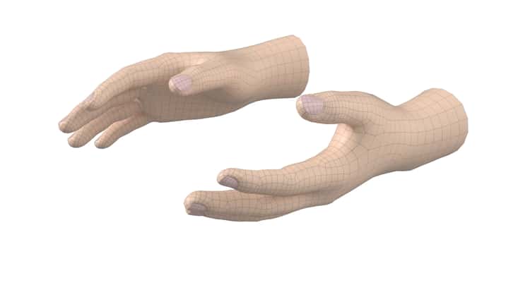 3d Hand Mesh
