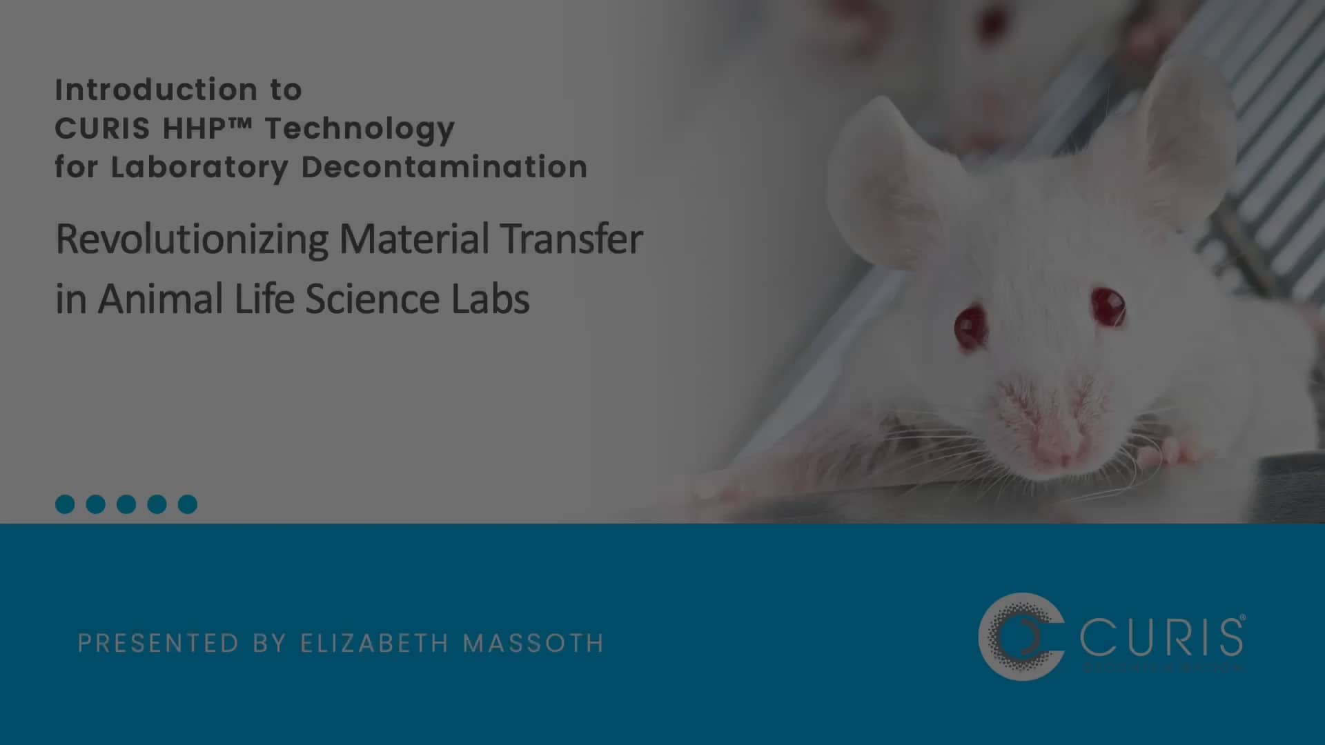 CURIS System s - Revolutionizing Material Transfer in Animal Life ...