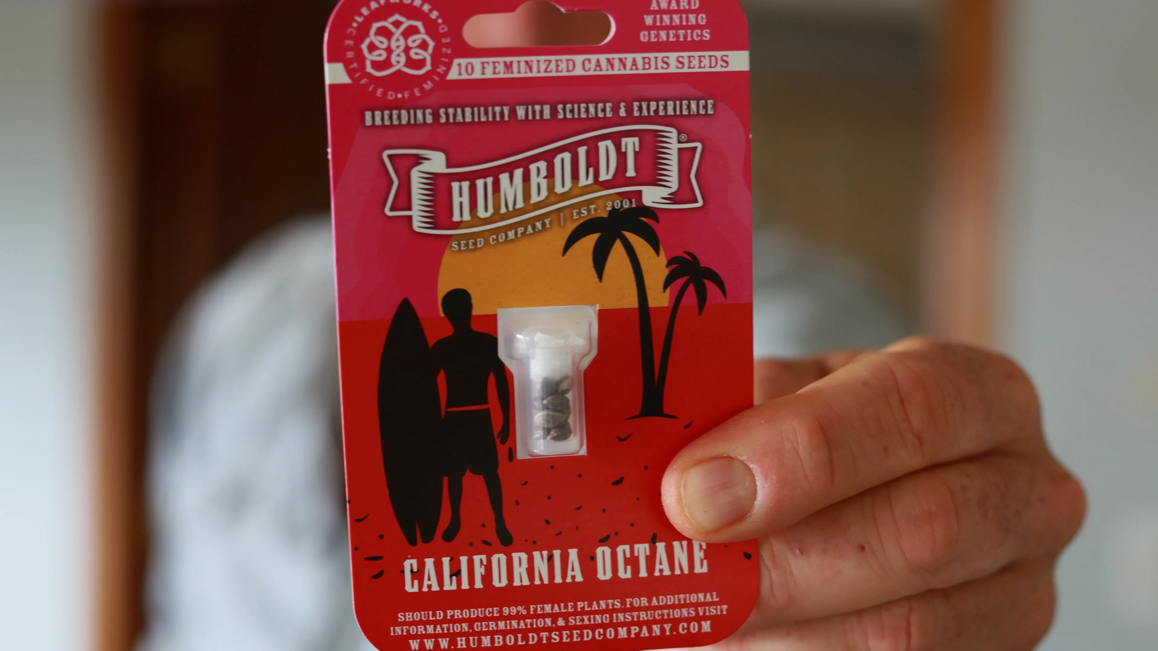 CALIFORNIA OCTANE_V01 on Vimeo