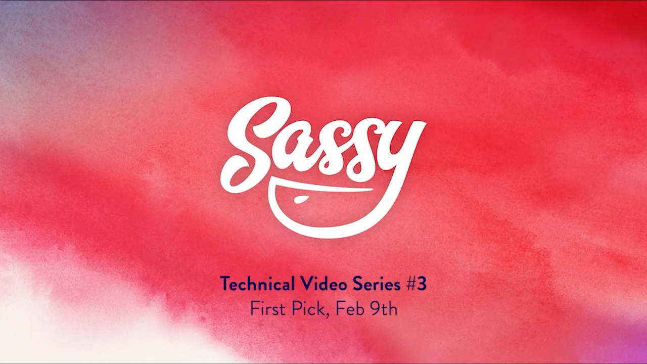 Sassy tech video 3_output 3 on Vimeo