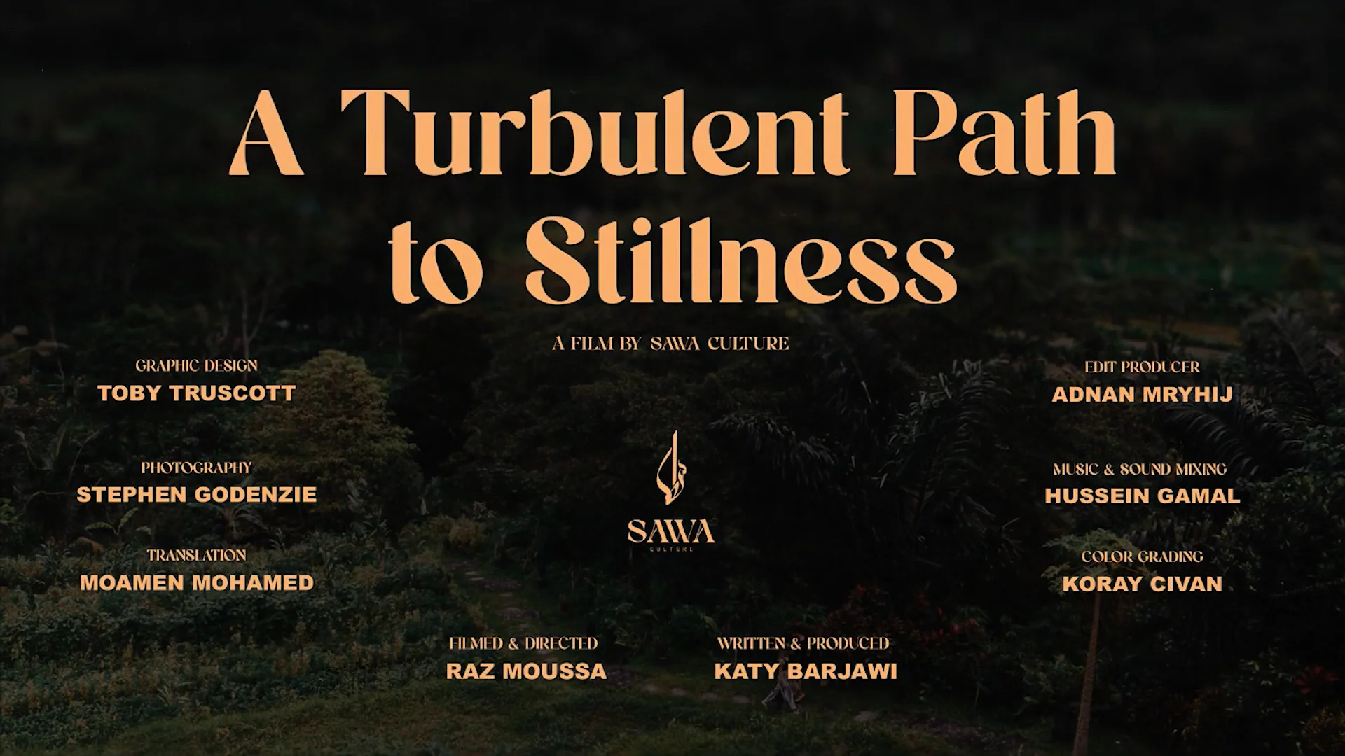 Watch A Turbulent Path to Stillness Online | Vimeo On Demand on Vimeo
