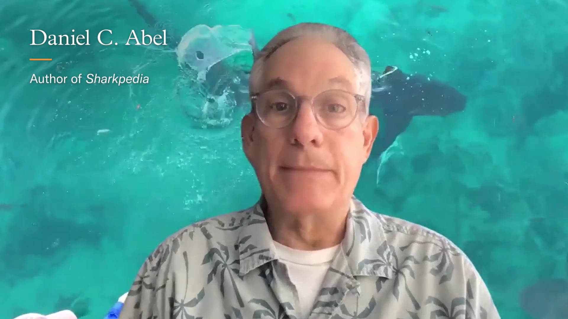 London Rights Guide 2024 - Daniel C. Abel, author of Sharkpedia on Vimeo