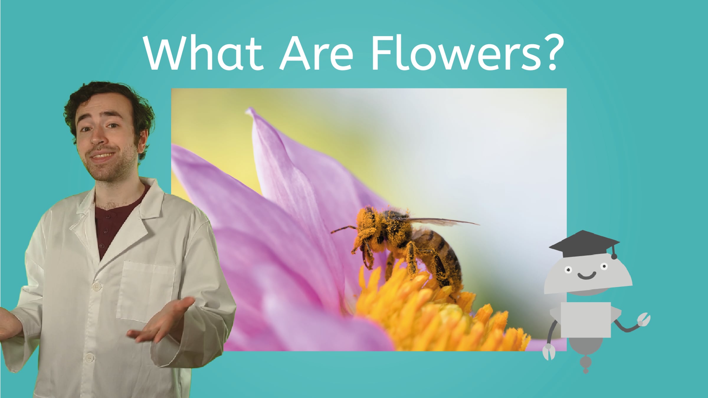 What Are Flowers?