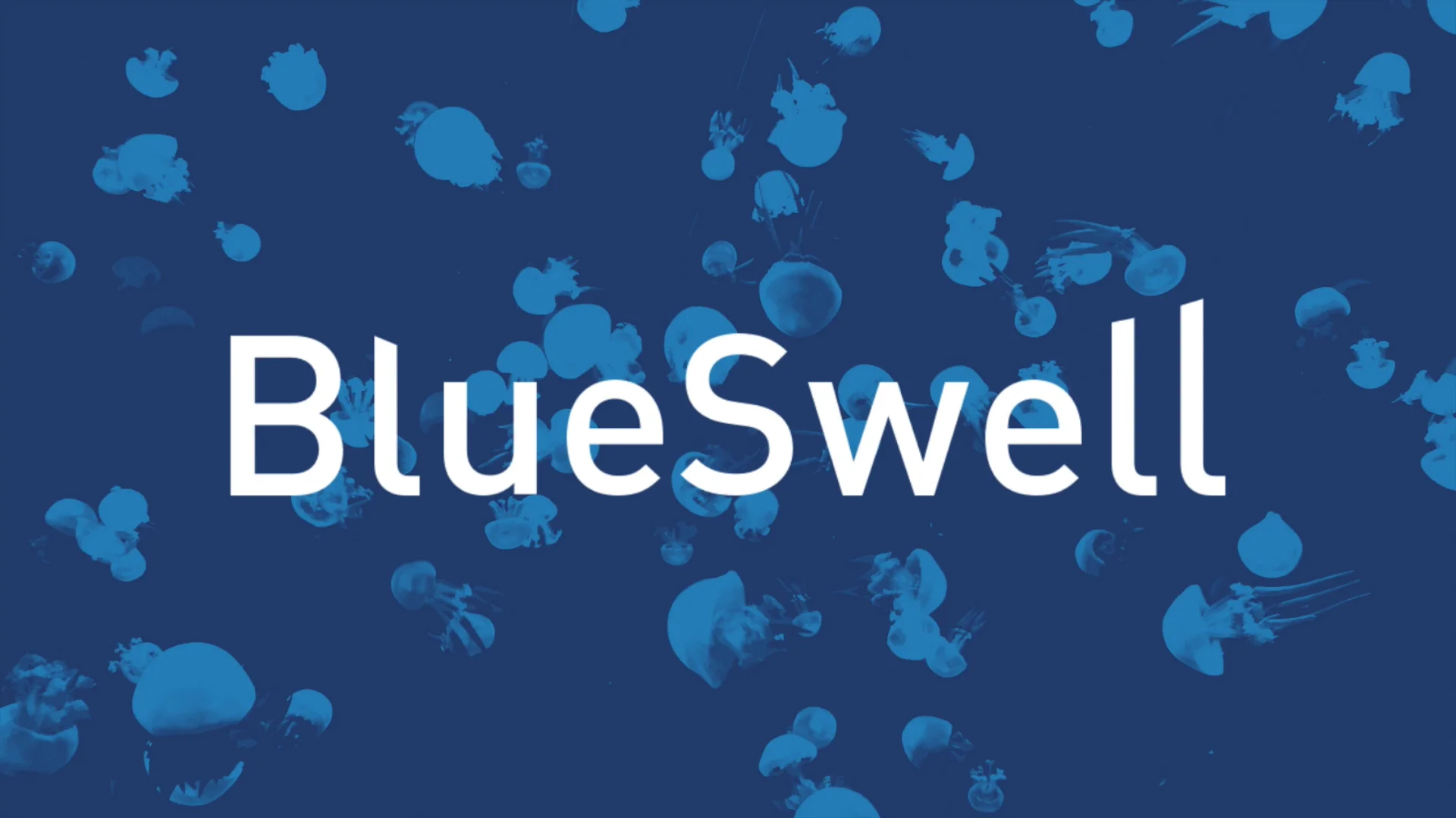 BlueSwell - 2024 SBA GAFC P-One