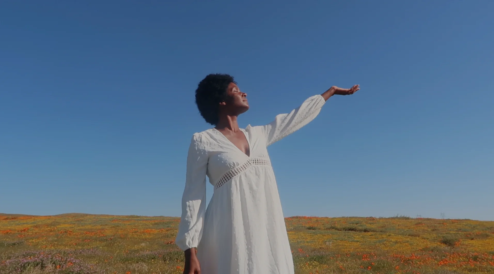 The Way of The Wind - Teaser on Vimeo