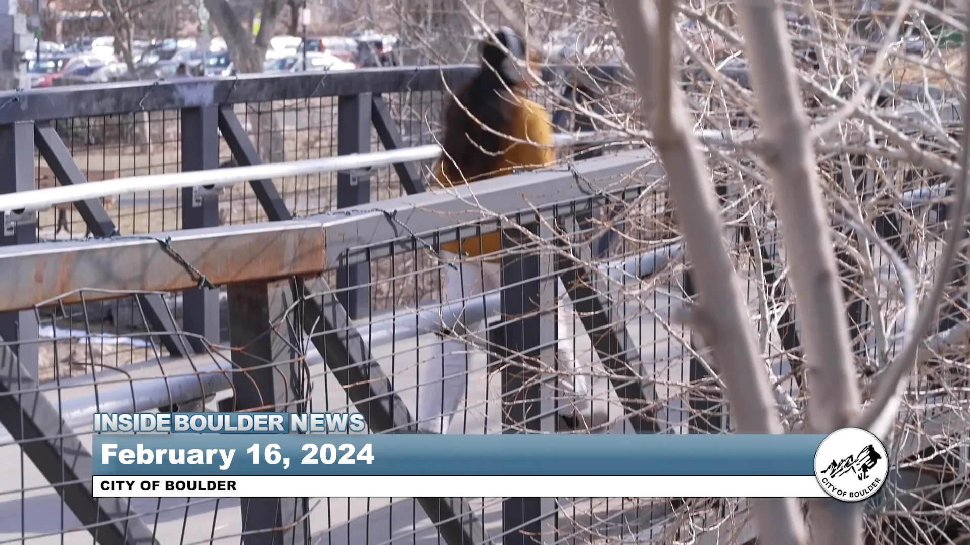 Inside Boulder News - February 16, 2024 on Vimeo