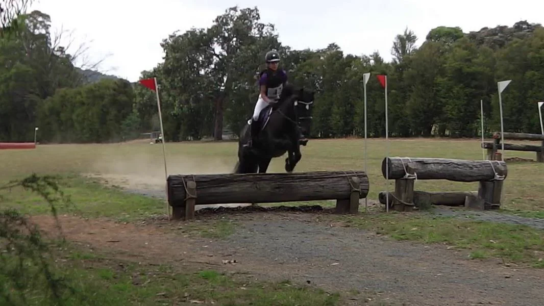 Adele Marriner riding Drayvenlea Serenity 42 Grade 4 Seville Pony Club ...