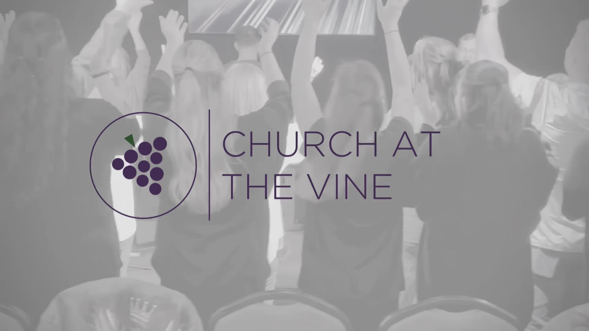 Church at the Vine Rebrand