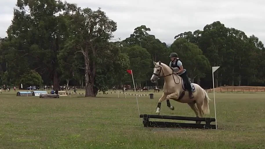 Ashleigh Ives riding Silver Warlock 250 Grade 5 Seville Pony Club Horse ...