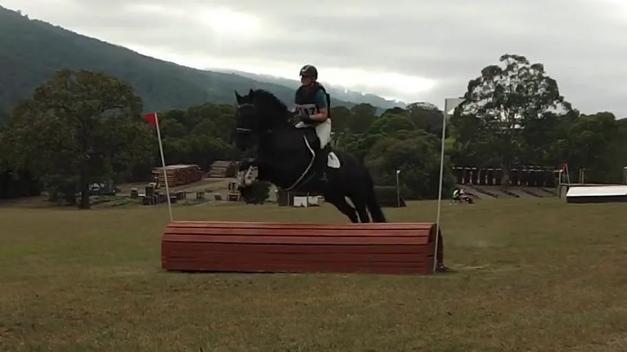 Lucy Cochran riding Bella Bianco 187 Grade 4 Seville Pony Club Horse ...